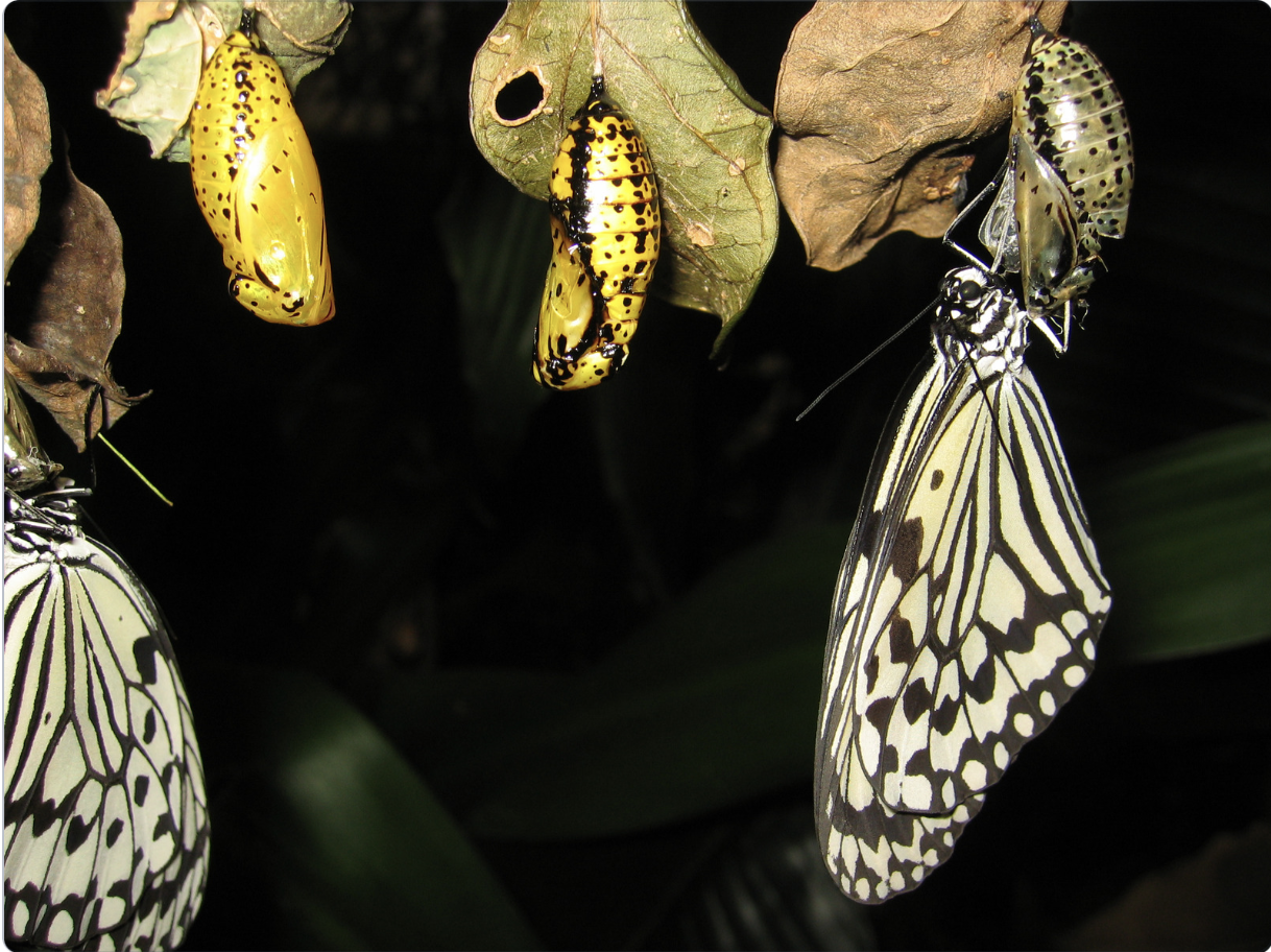 Transformation Is Possible - Minutes Before Six